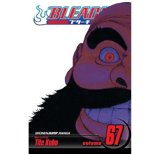 Bleach Vol 67 | Kootb.com